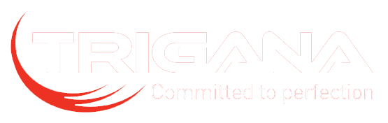 Why a visual identity system is more memorable than a logo – Trigana